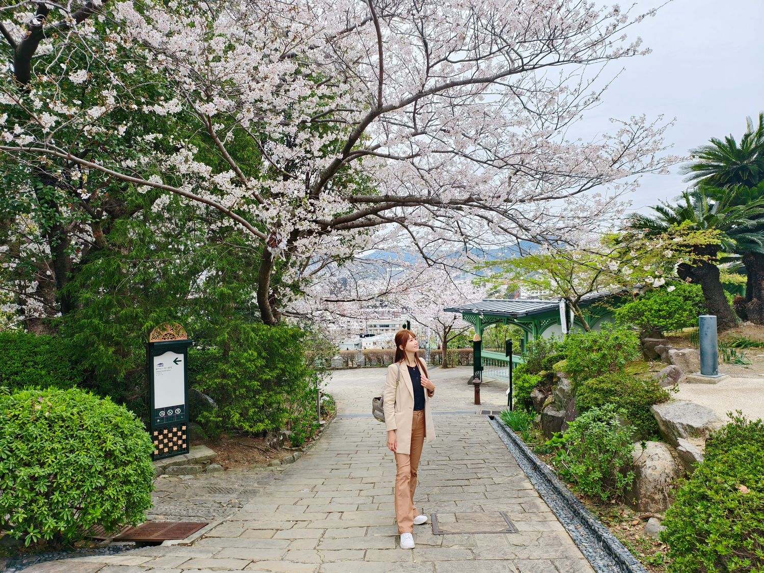 FB教學】FB REELS怎麼用？FB 連續短片教學，如何分享跟開啟星賞功能賺收益，最新趨勢用起來! @混血珊莎的奇幻旅程